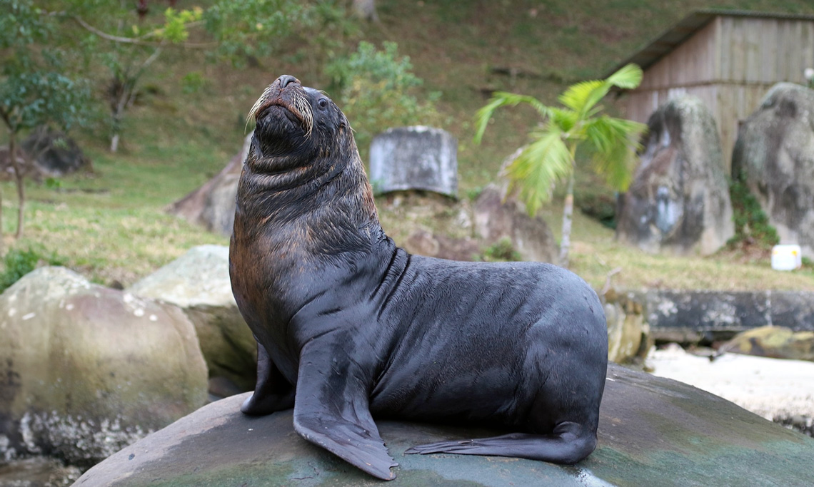 Aspectos físicos demográficos - Santa Catarina - Os Brasis (Sociologia II)